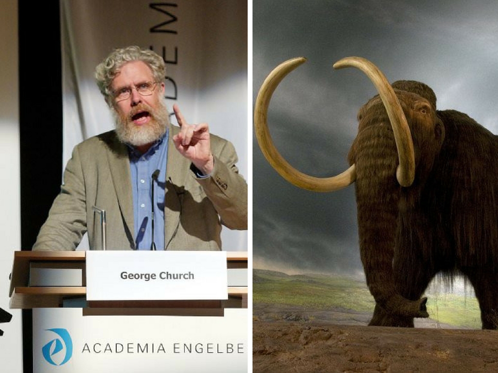 Can we grow woolly mammoths in the labs? - Academia Engelberg
